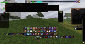 Fixed Internally - EXP bar & map flickering shimmering | EverQuest 2 Forums