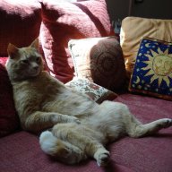 Nights of the Dead 2025 - Feedback & Bugs | EverQuest 2 Forums